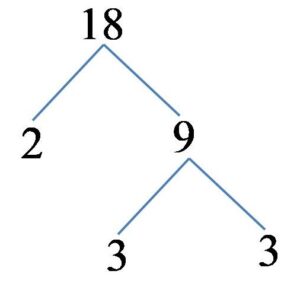 Prime Factor Decomposition - Math Calculations